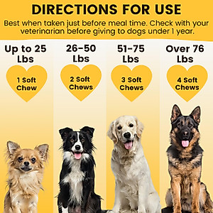 Allergy and Itch Skin Supplement | Immune Support Chews with Probiotics, Turmeric, Omega 3, Colostrum | Dog Chews for Gut & Digestive Health, Seasonal Allergies, Nose Congestion