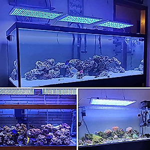 Relassy 300W Large Aquarium Light, Fish Tank Light with 676 LED and Remote Control, Adjustable Brightness Sunrise Sunset Mode and 24H Timer Function, Dimmable Reef Aquarium Lights for Fish Tank