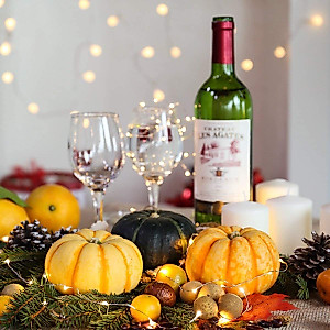 Led String Lights, Mini Battery Powered Copper Wire Starry Fairy Lights, Battery Operated Lights for Bedroom, Christmas, Parties, Wedding, Centerpiece, Decoration (5m/16ft Warm White)