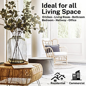 Xtricity Compact Fluorescent Light Bulb T2 Spiral CFL, 5000k Daylight, 23W (100 Watt Equivalent), 1520 Lumens, E26 Medium Base, 120V, UL Listed (Pack of 8)