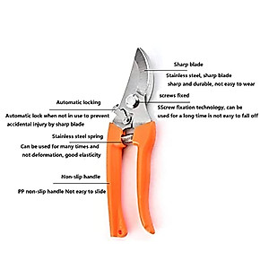 Criativo Live 14-Pack Gardening Scissors,Pruning Shear, Florist Scissors for home and gardening