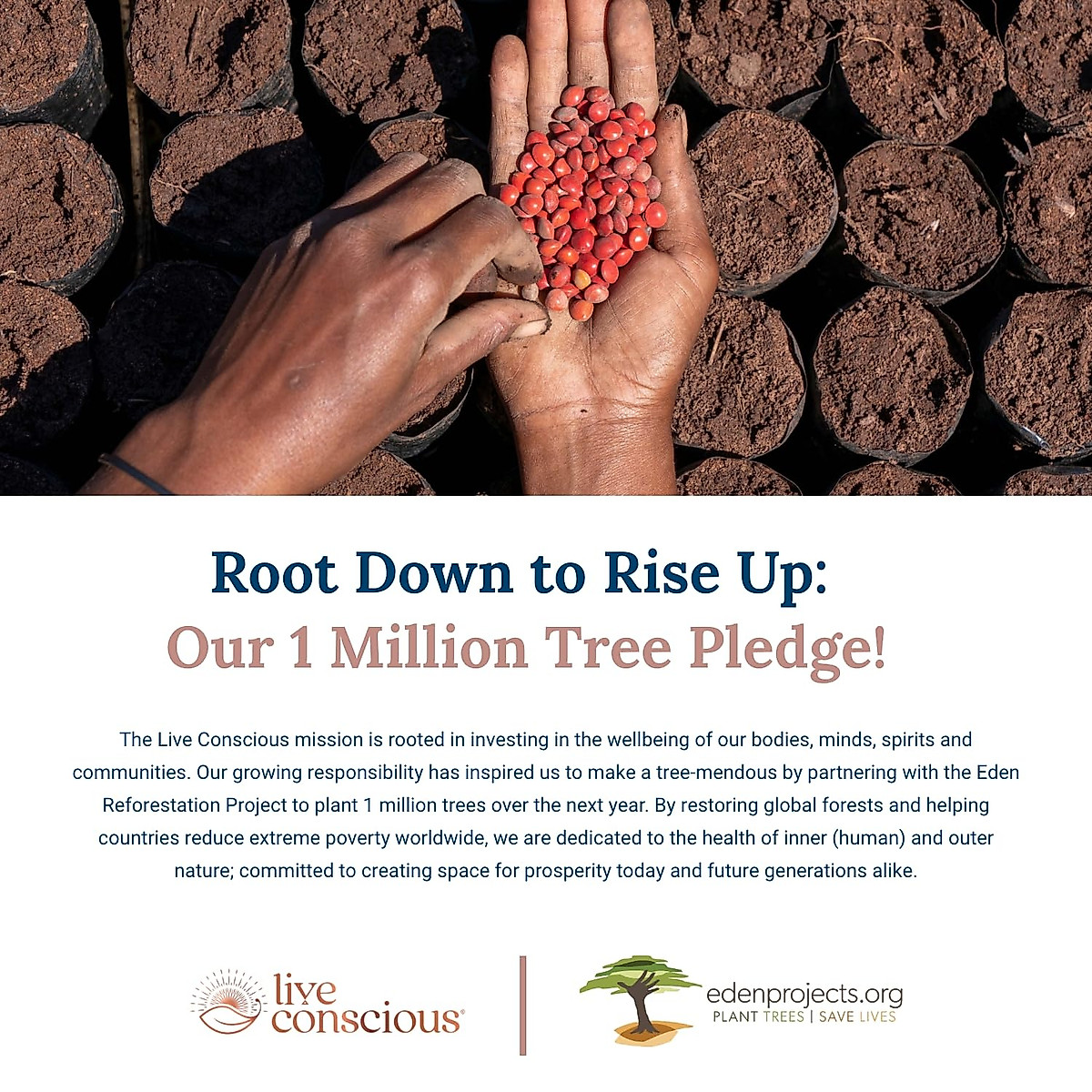 Live Conscious OmegaWell Fish Oil: Heart, Brain, and Joint Support | 800 mg EPA 600 mg DHA - Enteric-Coated, Sustainably Sourced - Easy to Swallow 120 Count (2-Pack)