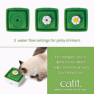 Catit 2.0 Mini Flower Drinking Fountain – Cat Water Fountain with Triple Filter and Ergonomic Drinking Options,Green