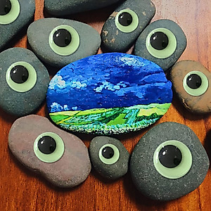 Vanteexpro 170 Pieces Googly Wiggle Eyes Luminous Wiggle Eyes with Self Adhesive for DIY Crafts 170 Pieces Muti Sizes