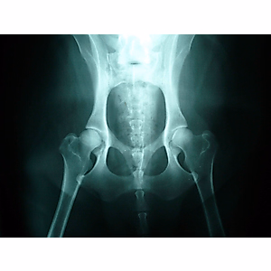 Holistic Horseworks Canine Musculoskeletal Unwinding Home Study Course - Watch Instantly, with Copy Canine Musculoskeletal Unwinding Workbook - for Dog and Pets Lovers