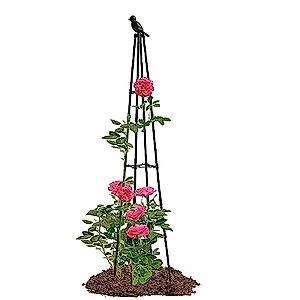 OTOSUNNY Trellis for Climbing Plants, 4 ft Tall 4-Stake with 3-Tier Braces Plant Pot Trellis, Metal Rose Garden Trellis for Climbing Plants Outdoor Vegetable|Flower|Vine Potted Plants, 1 Pack, Black