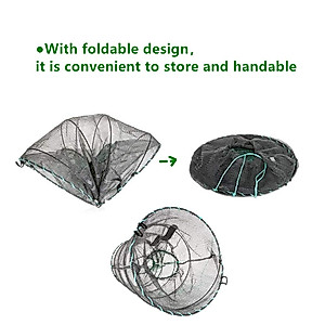 Fishing Bait Trap,2 Packs Crab Trap Minnow Trap Crawfish Trap Lobster Shrimp Collapsible Cast Net Fishing Nets Portable Folded Fishing Accessories,12.6X20.1inches