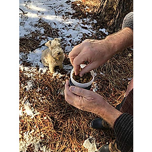 humangear STAX Interlocking Reusable Storage Container Set with Airtight Lids and ClipHandle for Food, Pantry, Kitchen and Organization, 1 Count, Small, Spectrum