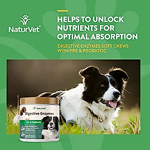 NaturVet – Digestive Enzymes - Plus Probiotics & Prebiotics – Helps Support Diet Change & A Healthy Digestive Tract – for Dogs & Cats (Soft Chews, 120 Count)