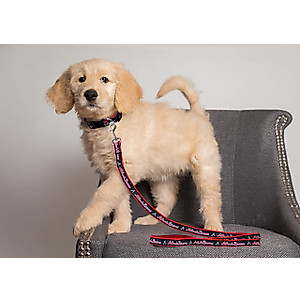 MLB PET Leash, Small, Atlanta Braves Dog Leash, Baseball Team Leash for Dogs & Cats. A Shiny & Colorful Dog & Cat Leash with Emboridered Team Name/Logo Licensed by the MLB