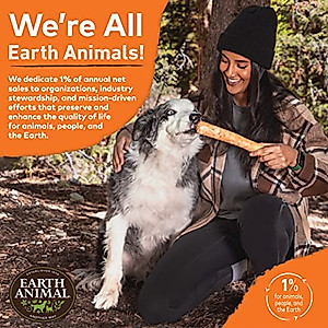 EARTH ANIMAL No Hide Large Chicken Flavored Natural Rawhide Free Dog Chews Long Lasting Dog Chew Sticks | Dog Treats for Large Dogs | Great Dog Chews for Aggressive Chewers