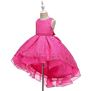 Flower Princess Girls Dress for Kids Wedding Bridesmaid First Communion Birthday Party Holiday Formal Prom Dance Evening Ball Gown Embroidery Lace Long Tutu Dresses Hot Pink 7-8 Years