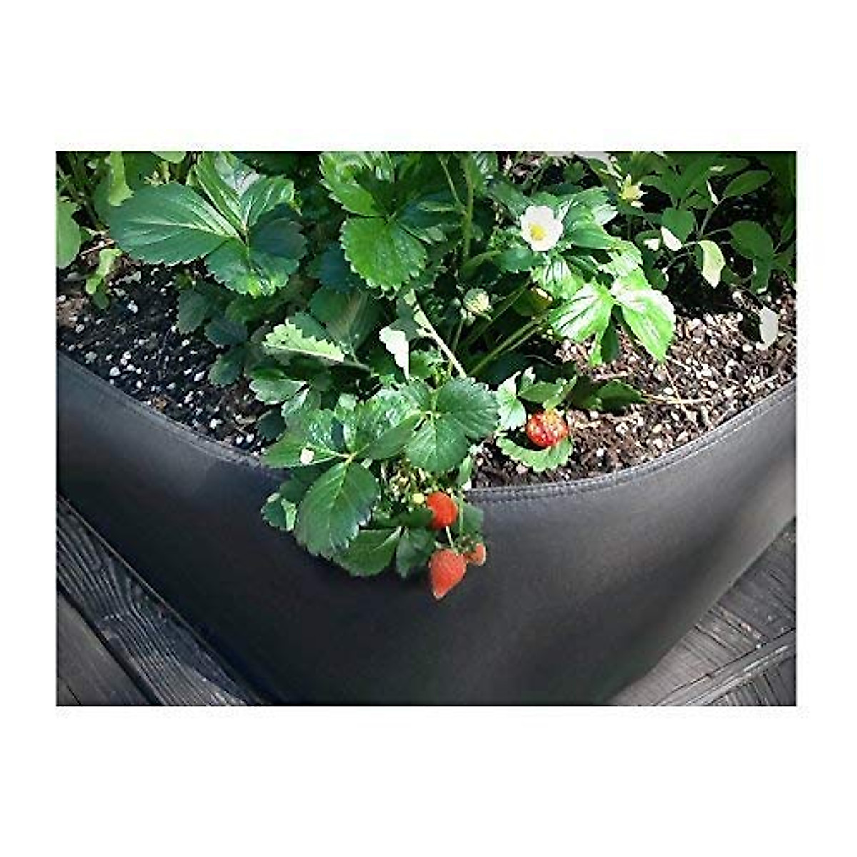 3 ft X 6 ft Victory 8 EZ-GRO Med Rectangle Raised Garden Bed Just Right Size AeroFlow Proprietary Fabric Grow Your OWN