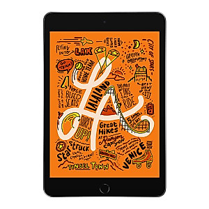 Apple 2019 iPad Mini (Wi-Fi, 64GB) - Space Gray