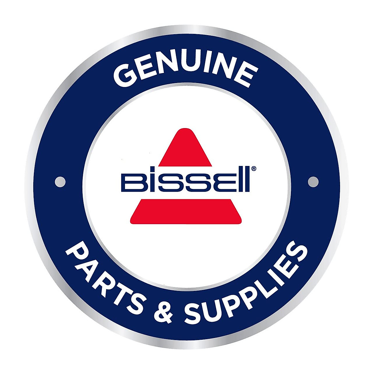 Bissell Pleated Post Motor Filter, 32076