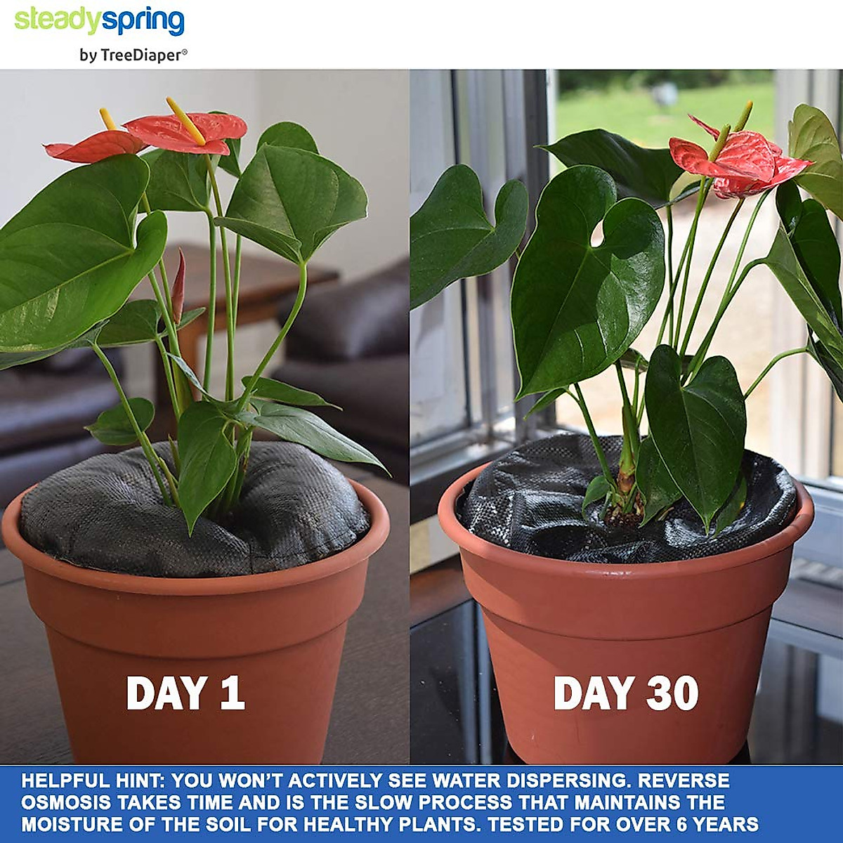 SteadySpring® Smart 30+Day Watering Mat for 10 in to 12 in Containers for Houseplants, Annuals, Herbs, Trees, Tomatoes - Self-Filling, Lasts 30+ Days, Automatic Irrigation Mat (2-Pack)