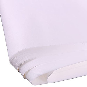Carnival Papers Wet Strength White Tissue Paper 60 Sheets Alternative to Deli Paper for Model Making, Geli Printing, Mixed Media Crafts etc Resistant to Tearing When Wet