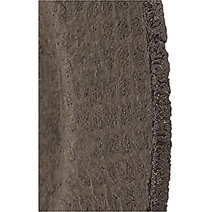 DEWALT 4-1/2" Cut Off Wheel, Concrete/Masonry, 4-1/2" x 1/8" x 7/8" (DW4528)