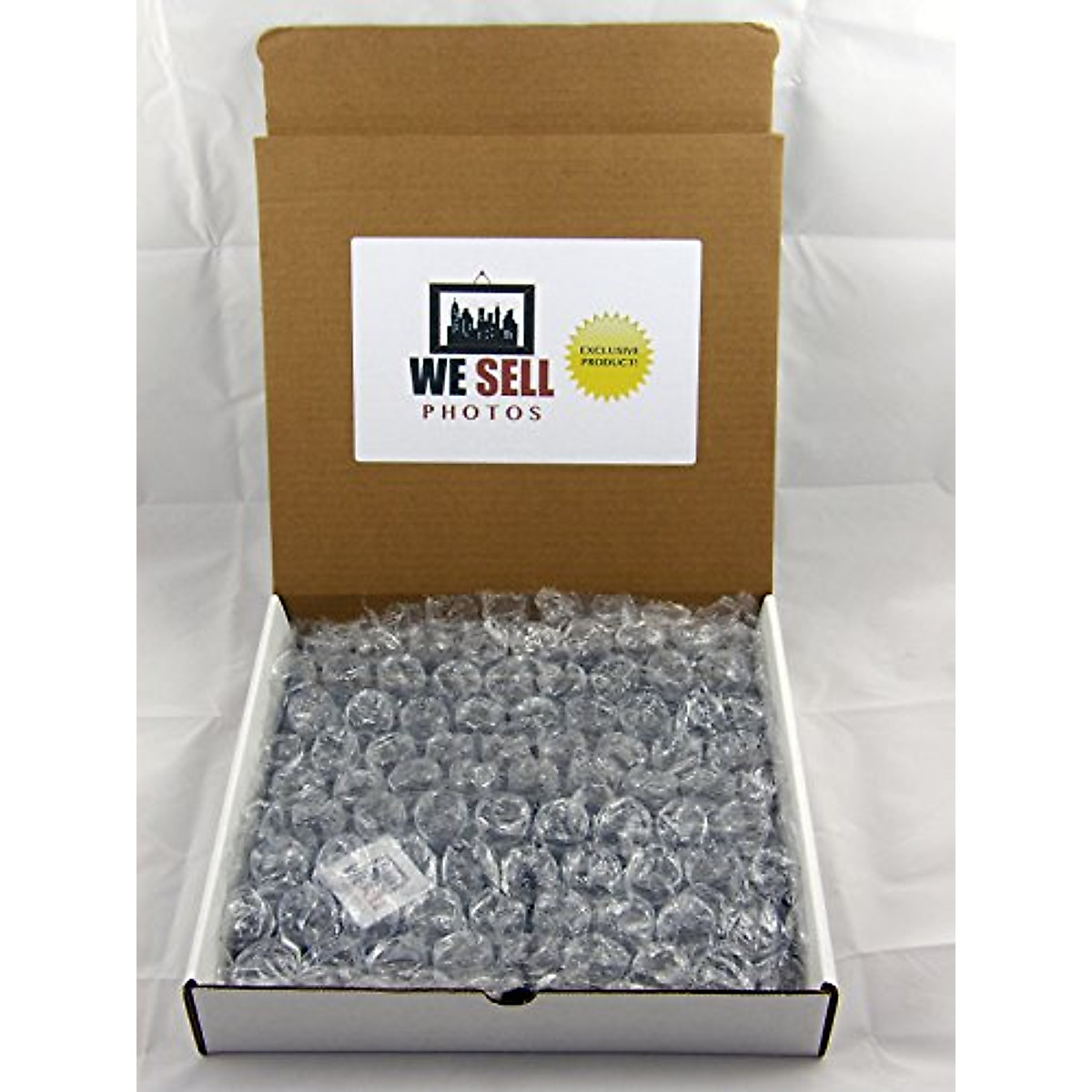 Theodore Teddy Roosevelt the Man in the Arena Quote 8x10 Framed Picture with Black Border