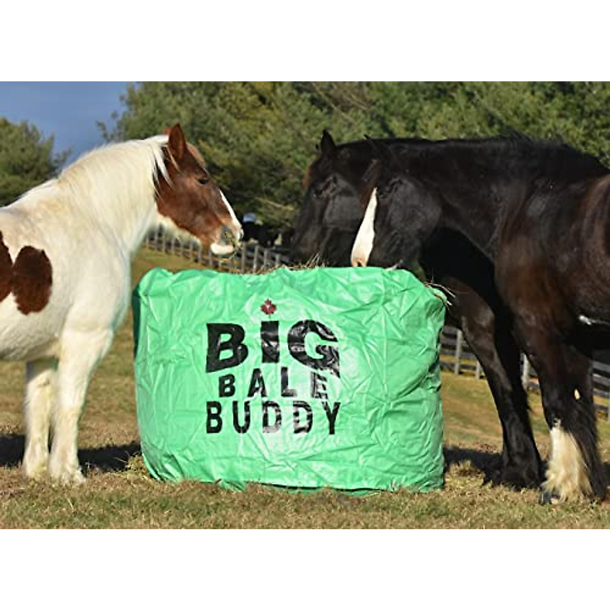 Big Bale Buddy Large