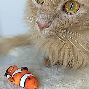 H&K Cat Toy | Clownfish | Plush Cat Toy with Catnip Inside | Funny Realistic Cat Gift | Fun, Durable, and Safe | Huxley & Kent Cat Toys