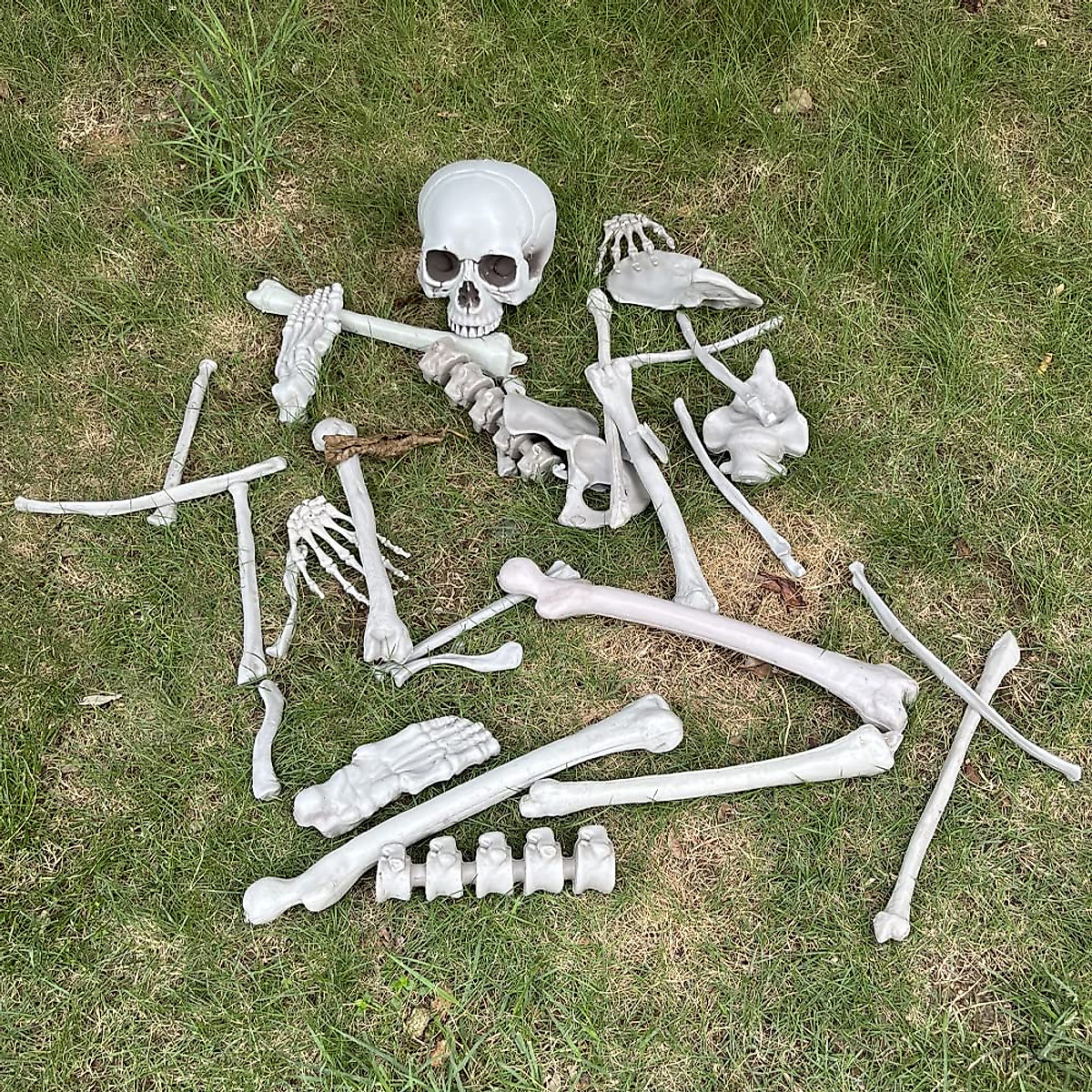 Halloween Skeleton Bones Realistic Looking Skulls Human Skeleton For Halloween Scary Graveyard Haunted House Lawn Yard Decorations(28 pieces）