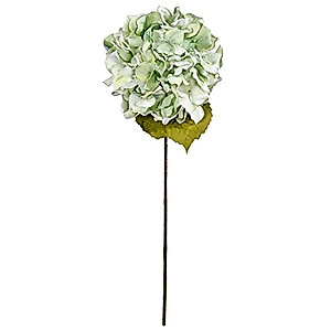 Ashland Michaels Sea Foam Green Hydrangea Stem