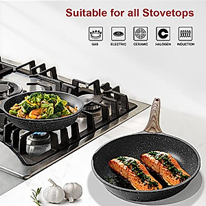 Caannasweis Nonstick Pan, Nonstick Stone Frying Pan, Best Nonstick Omelette Skillet Fry Pan with Soft Touch Handle, Induction Compatible (8+9.5+11 Inch Grey)