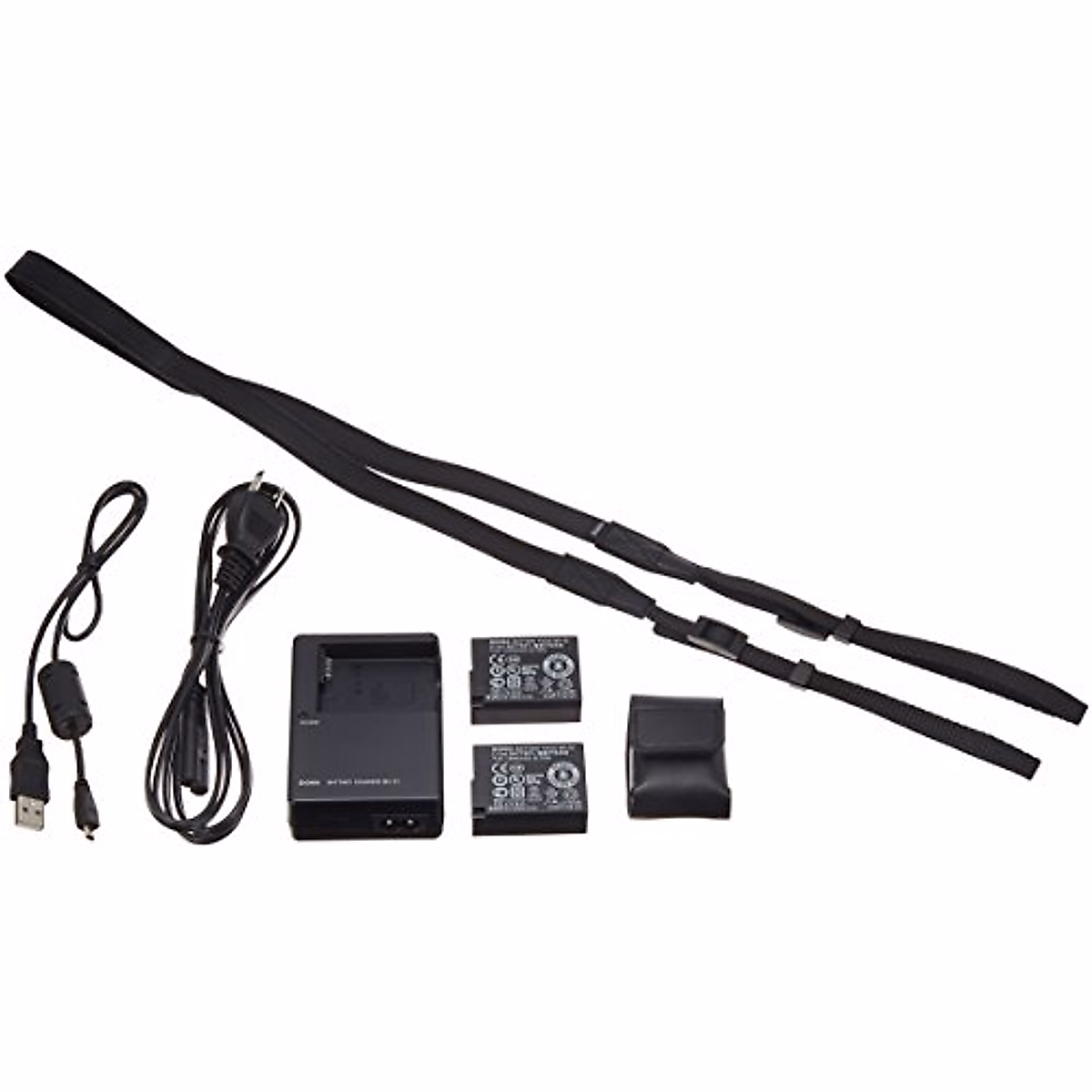 Sigma DP1 Quattro Compact Digital Camera