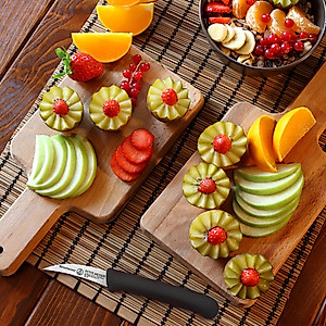 Messermeister Petite Messer 2.5” Bird’s Beak Parer with Matching Sheath, Black - German 1.4116 Stainless Steel & Ergonomic Handle - Lightweight, Rust Resistant & Easy to Maintain