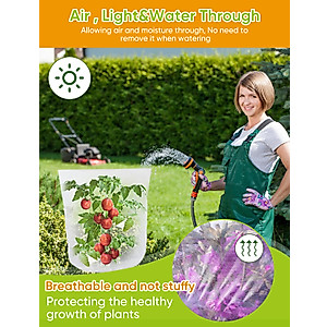 Bird Netting for Blueberry Bushes - 6Pcs Garden Netting Pest Barrier with Drawstring,Garden Plant Netting for Vegetables Fruits Tree Cicada Netting for Trees (6,32x32inch/6PACK)