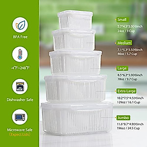 LUXEAR Fruit Vegetable Produce Storage Saver Containers with Lid & Colander 5 Packs BPA-Free Plastic Fresh Keeper Set | Refrigerator Fridge Organizer | for Salad Berry Lettuce Food Meat Fish Celery