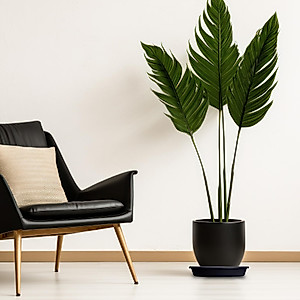 The HC Companies 21 Inch Round Plastic Classic Plant Saucer - Indoor Outdoor Plant Trays for Pots - 21"x21"x3.63" Black