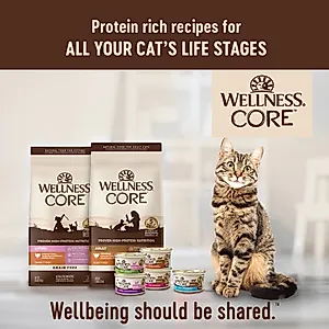 Wellness CORE Grain-Free Wet Cat Food, Natural Canned Food for Cats, Made with Real Meat (Chicken, Turkey & Chicken Liver Pate) , 3 Oz Cans (Pack of 12)