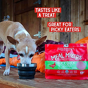 Stella & Chewy's Freeze Dried Raw Duck Duck Goose Meal Mixer – Dog Food Topper for Small & Large Breeds – Grain Free, Protein Rich Recipe – 3.5 oz Bag