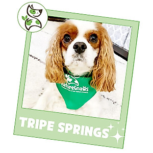 Nature Gnaws Tripe Twist Springs for Dogs - Premium Natural Beef Dog Treats - Simple Single Ingredient Crunchy Dog Chews - Training Reward - 8 Inch 10 Count