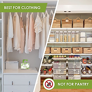 MothMag Moth Traps for Clothes, Closets, Fabrics, and Carpets, Clothing Moth Traps, Clothes Moth Traps, Closet Moth Traps, Moth Pheromone Traps, Extra-Strength Adhesive Glue Clothes Moth Trap, 6 Pack