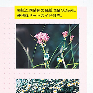 (S-type) King Jim file clear color base B5 20 pieces of blue blue 122C (japan import)