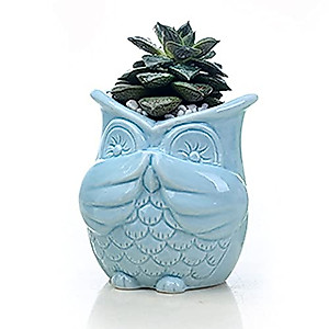 YONGYAN Owl Flower Pot Statue Decoration Ceramics Garden Planters Containers Pot Bookshelf Office Desktop Decor (Blue)