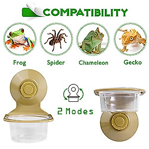 Fischuel Reptile Feeder Chameleon Lizard Feeding Cup with Suction Cup Gecko Transparent Fodder Container, Comes with 6 Packs Plastic Bowls(Adjustable Spiral Arms)