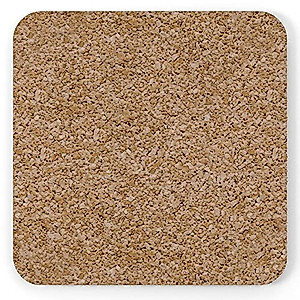 Funny Saying Pomsky Gifts for Women Christmas 2023 Gifts Coaster