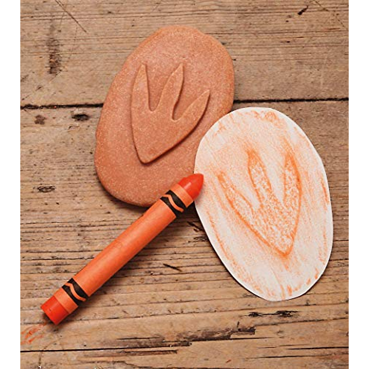 Yellow Door Let's Investigate Dinosaur Footprints