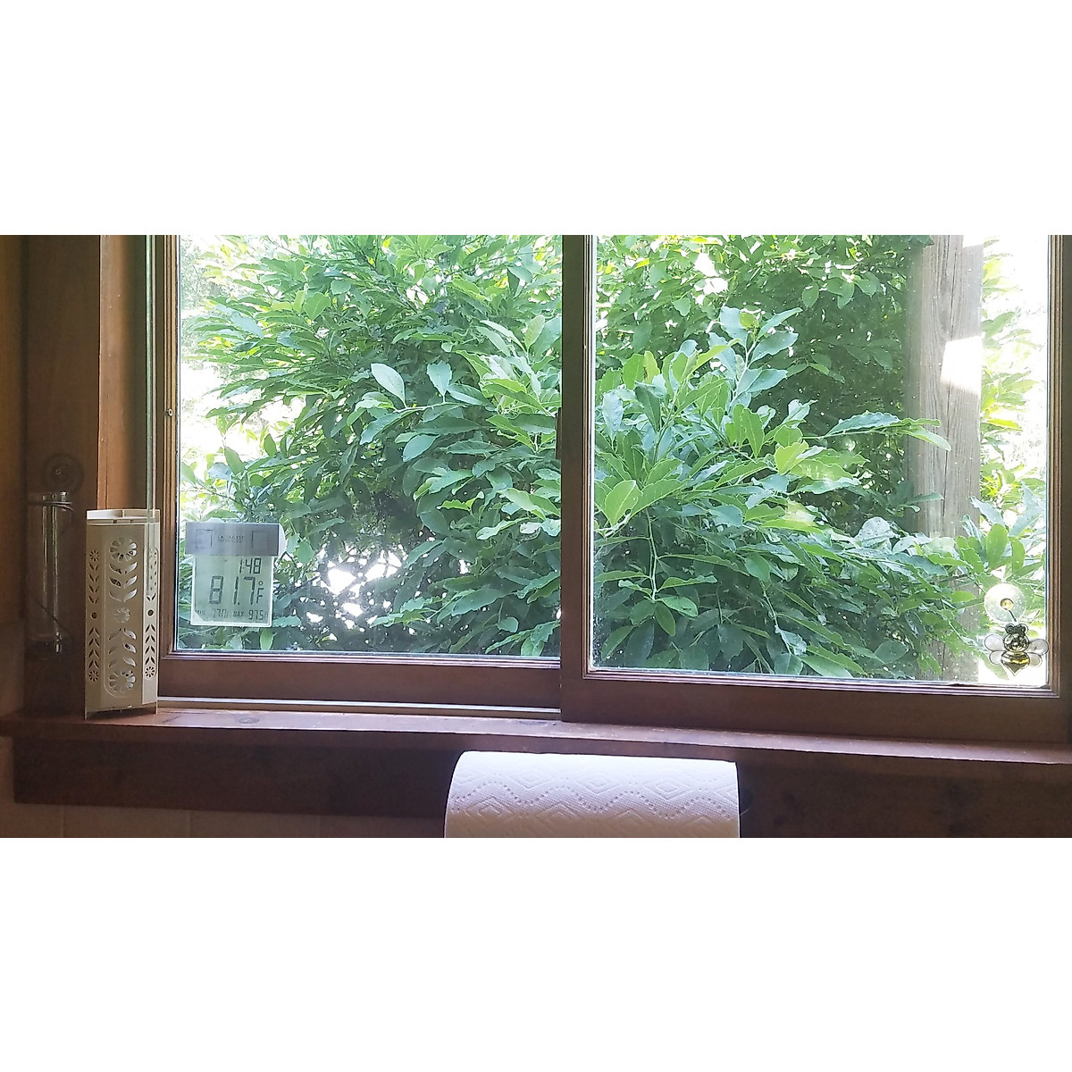 $averPak 4 Pack- 4 JT Eaton Stick-A-Fly Glue Fly Stick Traps