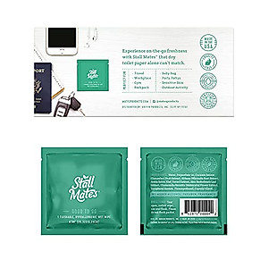 Stall Mates Wipes: Flushable, individually wrapped wipes for travel. Unscented with Vitamin-E & Aloe (30 on-the-go singles)