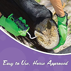Handson Hoof Pick - Horse Grooming Supplies for Daily Cleaning & Maintenance - Metal Pick w/Hoof Filer for Horses - Ergonomic Grip