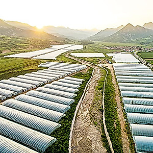 SHANGXING 2 Pack Greenhouse Clear Plastic Film-6.5 x 6.5 Ft Polyethylene Greenhouse Plant Cover Sheeting UV Resistant for Horticulture,Garden and Agriculture (2pcs)