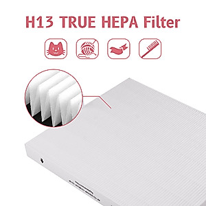 Aneedmore AP-1512HH Filter Replacement Compatible with Coway Airmega AP1512HH and 200M Air Purifiers, 2 HEPA(H13) Filter + 8 Activated Carbon Filters. Part # 3304899