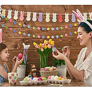 Wool Felt Ball Garland Colourful Felt Ball Pom Pom Garlands 9.84 Feet Long 70 Balls Felt Ball Garlands Hanging Garland Banner for Wall Party Home Decoration (Green, Pink, Yellow, Blue and Purple)