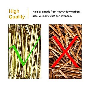 Tuplip Fe- Nails 1-1/2''inch x 14 Gauge (290pc), Flat Head Nails Hardware (38mm), Brass Plated Gold Nails for Hanging Pictures/Wood/Plaster and Concrete Wall/Carpentry/Photo/Frame/Art DIY