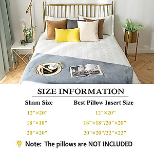 Stellhome Pack of 2 Super Soft Throw Pillow Covers Rectangle Solid Velvet Pillowcase for Bed Couch Sofa Bench, 12 x 20 inch (30 x 50 cm), Beige